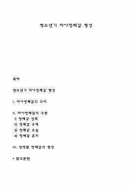 청소년기 자아정체감 형성-1페이지