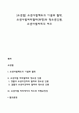 [소년법] 소년사법제도의 이념과 철학 소년사법처리절차(과정)와 청소년인권 소년사범처리의 처우-1페이지