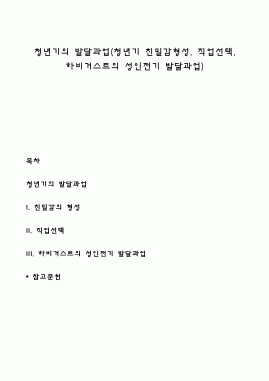 청년기의 발달과업(청년기 친밀감형성 직업선택 하비거스트의 성인전기 발달과업)-1페이지