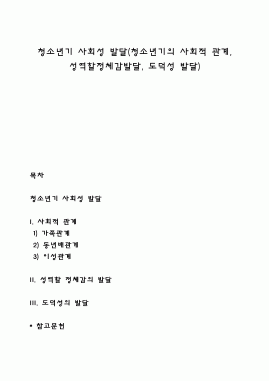 청소년기 사회성 발달(청소년기의 사회적 관계 성역할정체감발달 도덕성 발달)-1페이지