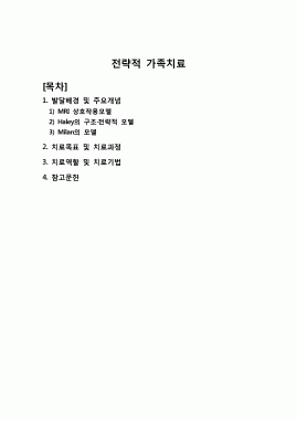 전략적가족치료 보고서-1페이지