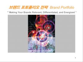 브랜드 포토폴리오 전략 Brand Portfolio-1페이지