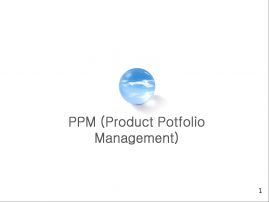 PPM(Product Potfolio Management)-1페이지