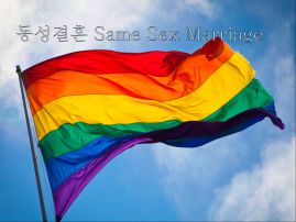 동성결혼 Same Sex Marriage-1페이지