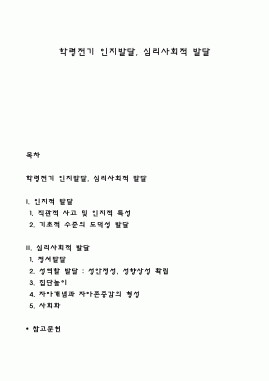 학령전기 인지발달 심리사회적 발달-1페이지