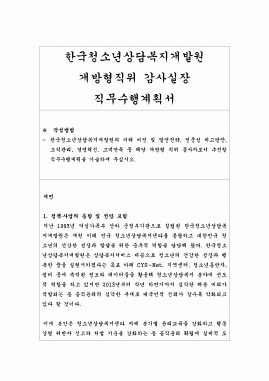 한국청소년상담복지개발원 개방형직위 감사실장 직무수행계획서-1페이지