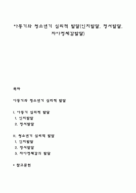 아동기와 청소년기 심리적 발달(인지발달 정서발달 자아정체감발달)-1페이지