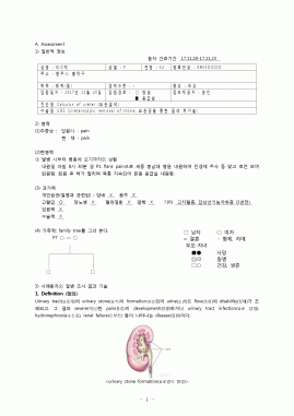 요관결석 case study-1페이지