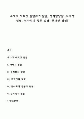 유아기 사회성 발달(자아발달 성역할발달 도덕성 발달 친사회적 행동 발달 공격성 발달)-1페이지