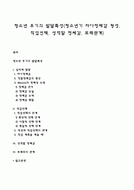 청소년 후기의 발달특성(청소년기 자아정체감 형성, 직업선택, 성역할 정체감, 또래관계)-1페이지