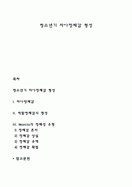 청소년기 자아정체감 형성-1페이지