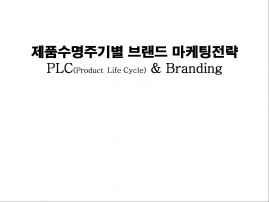제품수명주기별 브랜드 마케팅 전략 PLC(Product Life Cycle) & Branding(브랜딩).ppt-1페이지