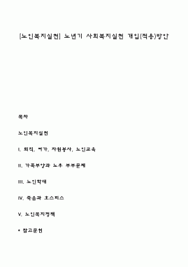 [노인복지실천] 노년기 사회복지실천 개입(적용)방안-1페이지