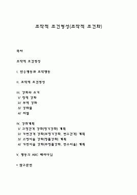 조작적 조건형성(조작적 조건화)-1페이지