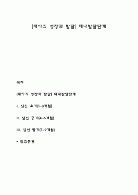 [태아의 성장과 발달] 태내발달단계-1페이지