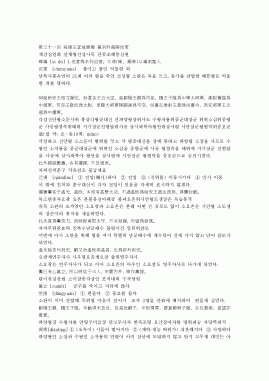 채동번의 중국 남북조역사소설 남북사통속연의 31회 32회 33회 한문 원문 및 한글번역-1페이지