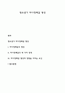 청소년기 자아정체감 형성-1페이지