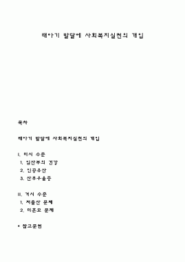 태아기 발달에 사회복지실천의 개입-1페이지