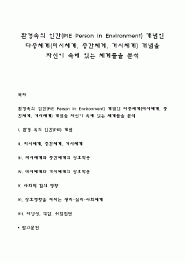 환경속의 인간(PIE Person in Environment) 개념인 다중체계(미시체계 중간체계 거시체계) 개념을 자신이 속해 있는 체계들을 분석-1페이지