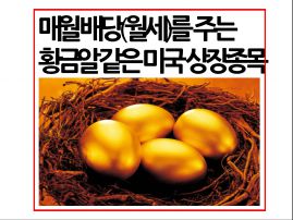 매월 배당(월세)를 주는 황금알 같은 미국 상장종목.pptx-1페이지