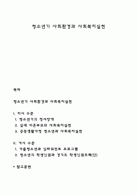 청소년기 사회환경과 사회복지실천-1페이지