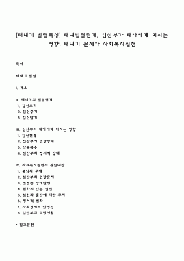 [태내기 발달특성] 태내발달단계 임산부가 태아에게 미치는 영향 태내기 문제와 사회복지실천-1페이지