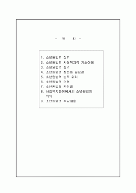 [사회복지] 소년원법의 사회복지적 기초이해-1페이지