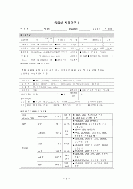 성인간호학 특수파트 응급실 CASE 간호과정 7개-1페이지