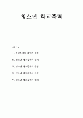 청소년 학교폭력 - 원인 실태 유형 특성 대책-1페이지