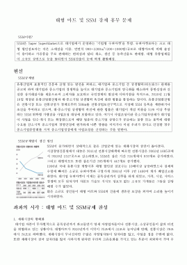 수업 지도안 - 대형 마트 및 SSM 강제 휴무 문제-1페이지