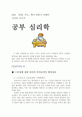 EBS 60분 부모에서 말하지 못했던 김미라 교수의 공부 심리학 - 독후감-1페이지