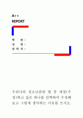 [ 우리나라 청소년관련 법 중 개정(수정)하고 싶은 하나를 선택하여 수정해 보고 그렇게 생각하는 이유를 쓰시오 ]-1페이지