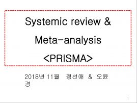 메타분석 발표-1페이지