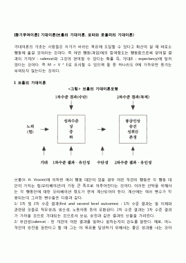 [동기부여이론] 기대이론(브룸의 기대이론 포터와 로울러의 기대이론)-1페이지