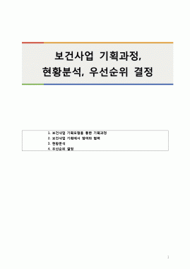 보건사업 기획과정현황분석 우선순위 결정-1페이지