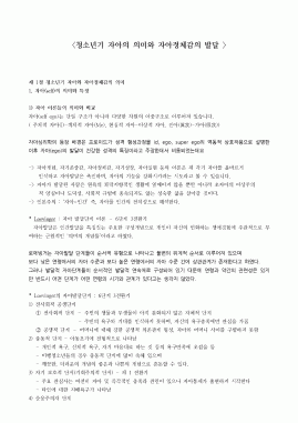 청소년기 자아의 의미와 자아정체감의 발달 (자아 이론 의미 특징 자아존중감 자아 정체감 형성과정 발달과업)-1페이지