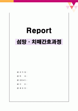 섬망 치매간호과정 (문헌고찰)-1페이지