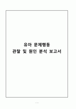 유아 문제행동 관찰 및 원인 분석 보고서-1페이지