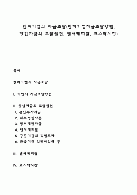 벤처기업의 자금조달(벤처기업자금조달방법 창업자금의 조달원천 벤처캐피탈 코스닥시장)-1페이지