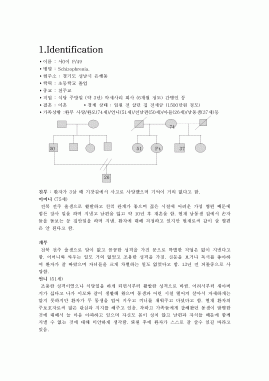 [정신간호] 조현병 사례관리 Team approach-1페이지