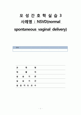 정산분만(NSVD) case-1페이지