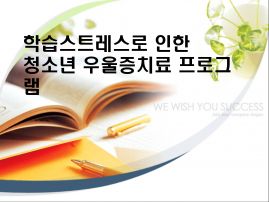 학습스트레스로 인한 청소년 우울증치료 프로그램-1페이지