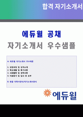 2019년 에듀윌 마케팅 기획직 자기소개서 우수샘플 + 이력서양식 (BEST 에듀윌 합격자소서 에듀윌 지원동기 첨삭항목 채용 자기소개서)-1페이지