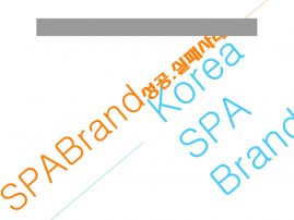 SPABrand성공실패사례-1페이지