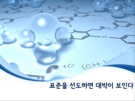 표준을 선도하면 대박이 보인다-1페이지