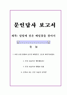 문인답사 보고서 - 이효석 달빛에 젖은 메밀꽃을 찾아서-1페이지