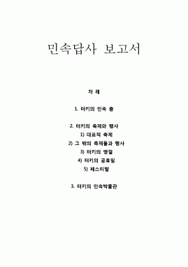 민속답사 보고서 - 터키의 민속 춤 터키의 축제와 행사 터키의 민속박물관-1페이지