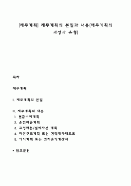 [재무계획] 재무계획의 본질과 내용(재무계획의 과정과 유형)-1페이지