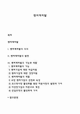 벤처캐피탈-1페이지