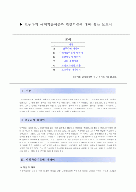 반두라의 사회학습이론과 관찰학습에 대한 짧은 보고서-1페이지